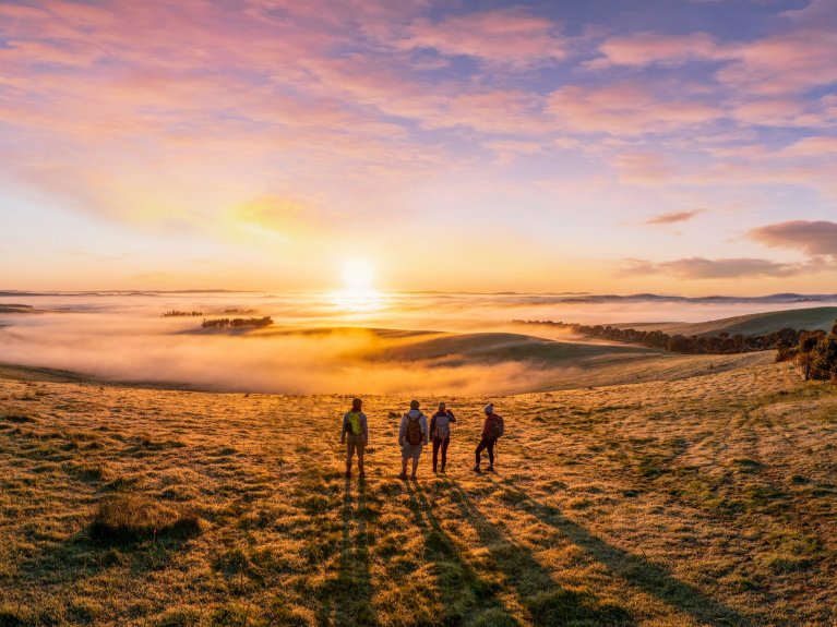 Explore - Clare Valley Tourism