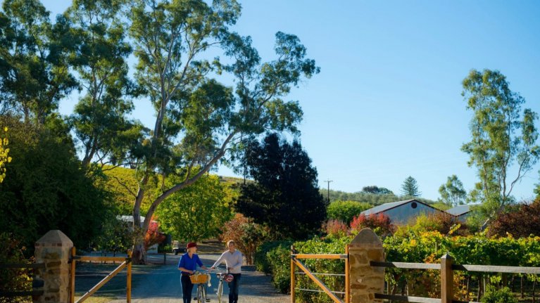 Explore - Clare Valley Tourism