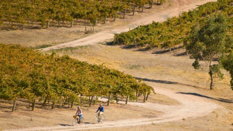 Explore - Clare Valley Tourism