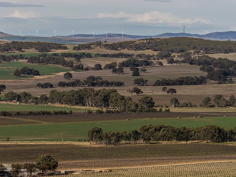 Explore - Clare Valley Tourism
